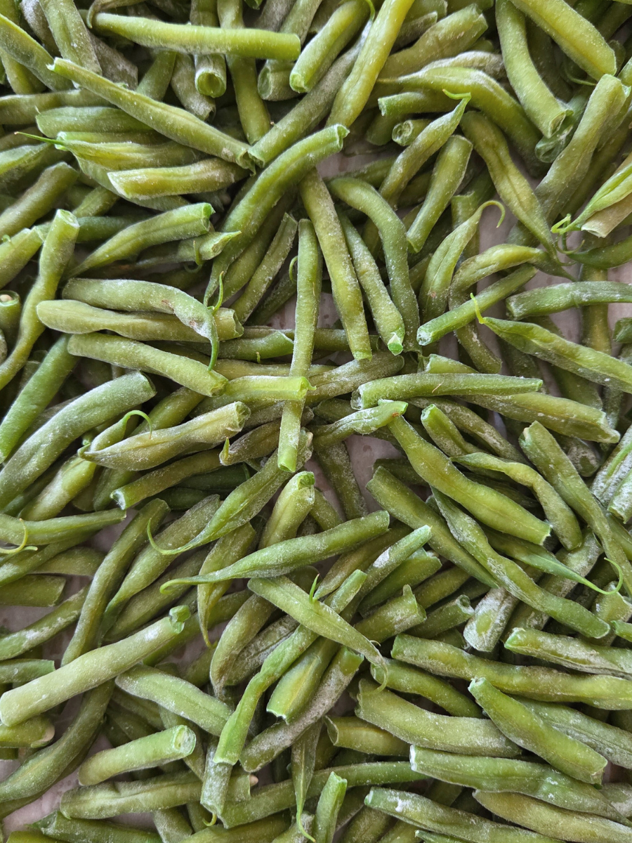 How to Freeze Green Beans from the Garden - The Fresh Milled Farmhouse