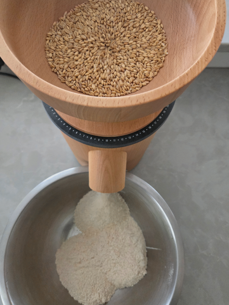 Benefits of Fresh Milled Flour (What I Wish I Knew Sooner) - The Fresh ...